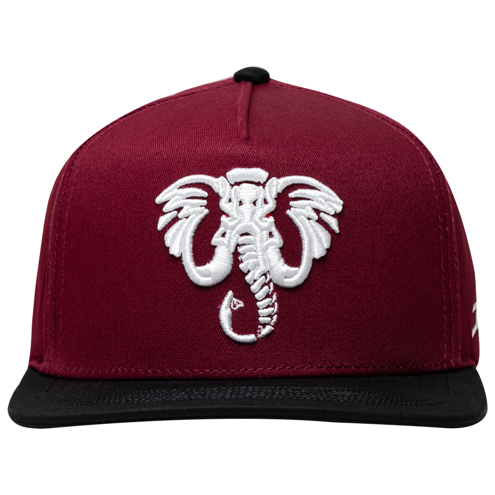 SAVAGE ANIMALS – JC Hats México