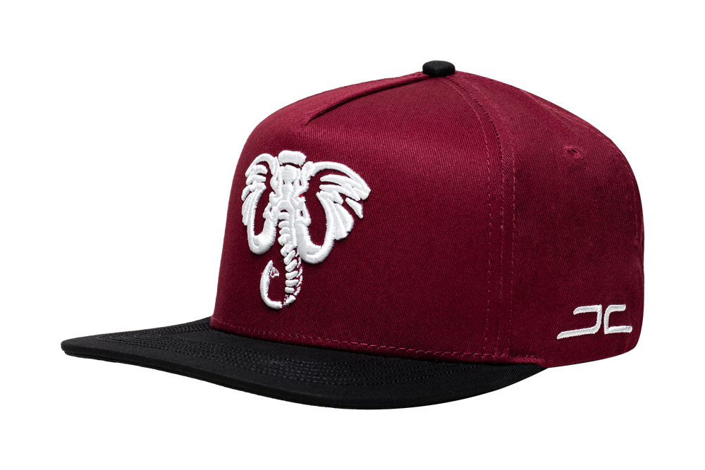 SAVAGE ANIMALS – JC Hats México